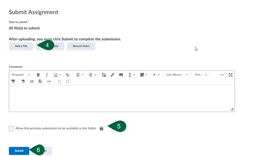 The Assignment Preview in Brightspace