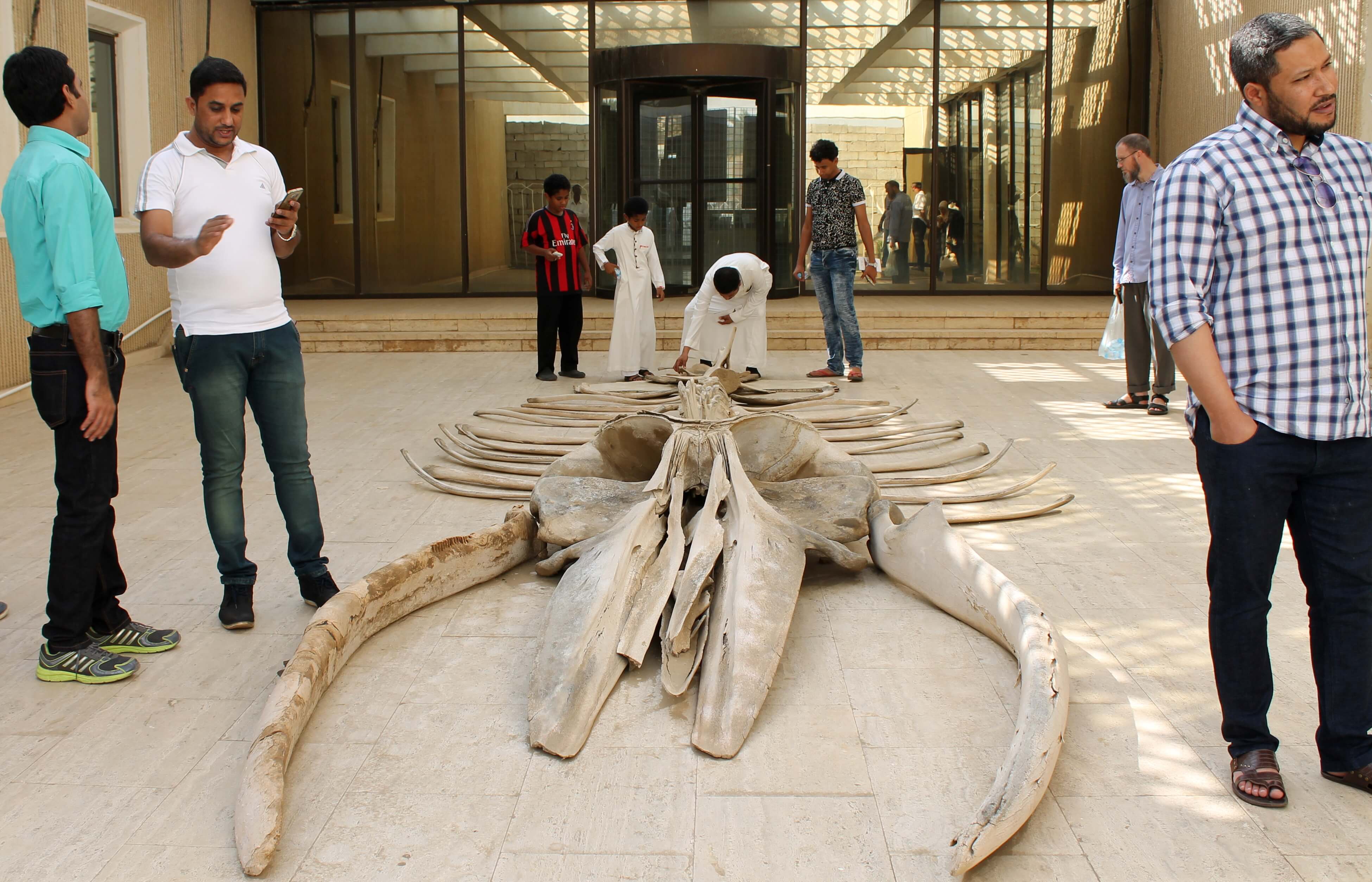 Outings to the Jizan Museum and Heritage Village - News Detail