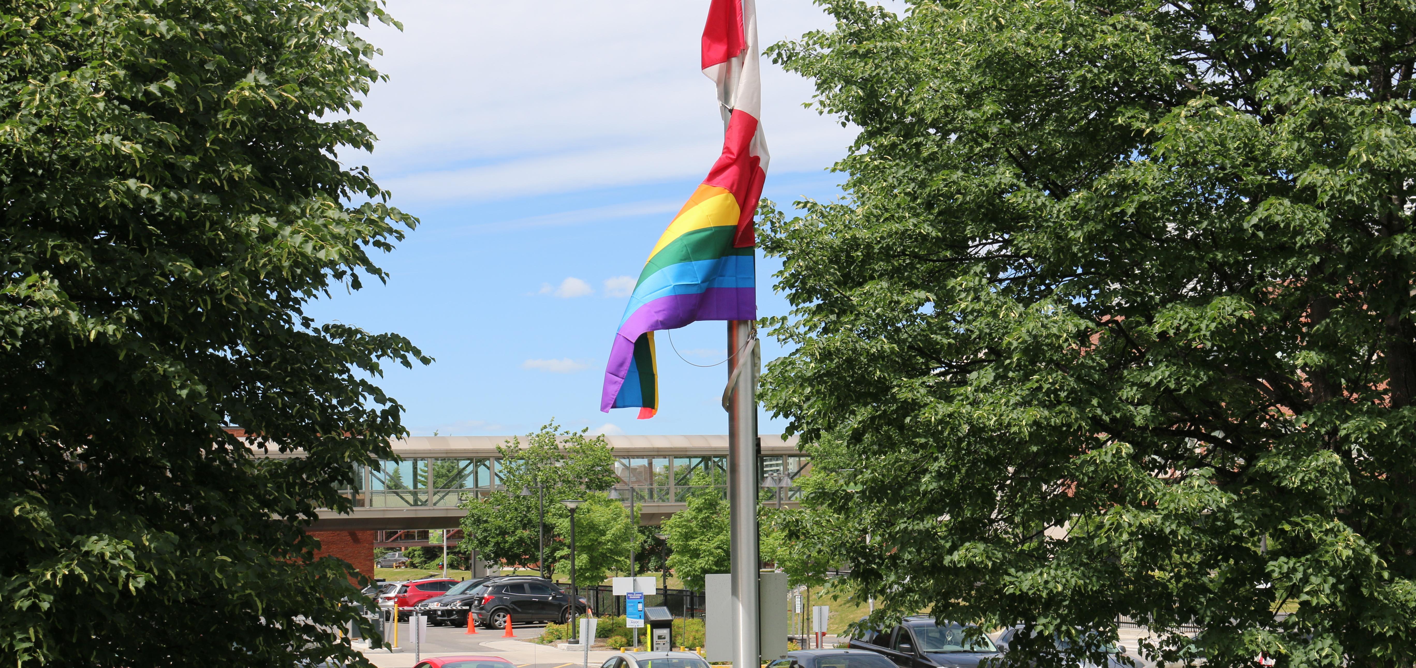 College flies Pride flag at half-staff - News Detail