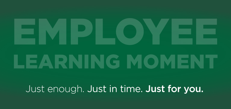 Your Employee Learning Moment: Play in the Workplace... - News Detail
